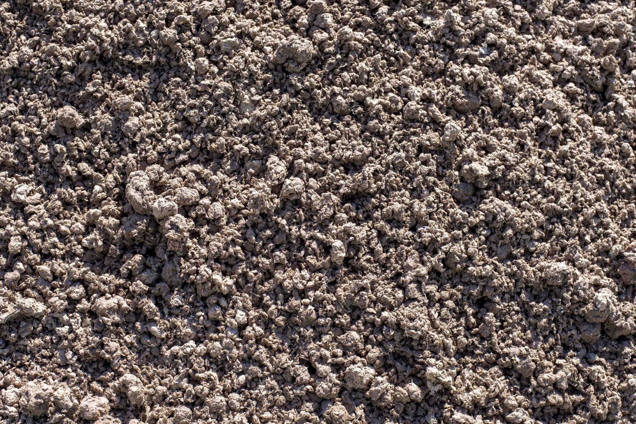 Paper sludge drying | Michel sludge drying